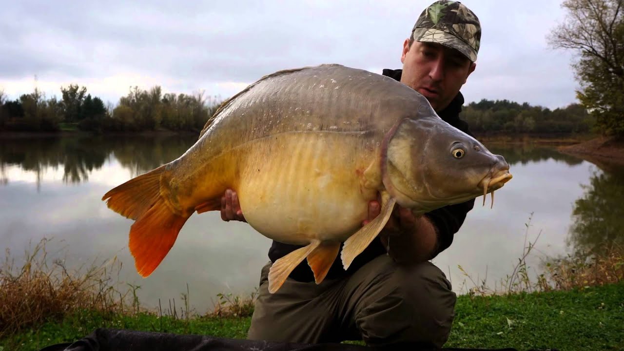 CT Element Baits Pelagicevo Nov 2013 - YouTube