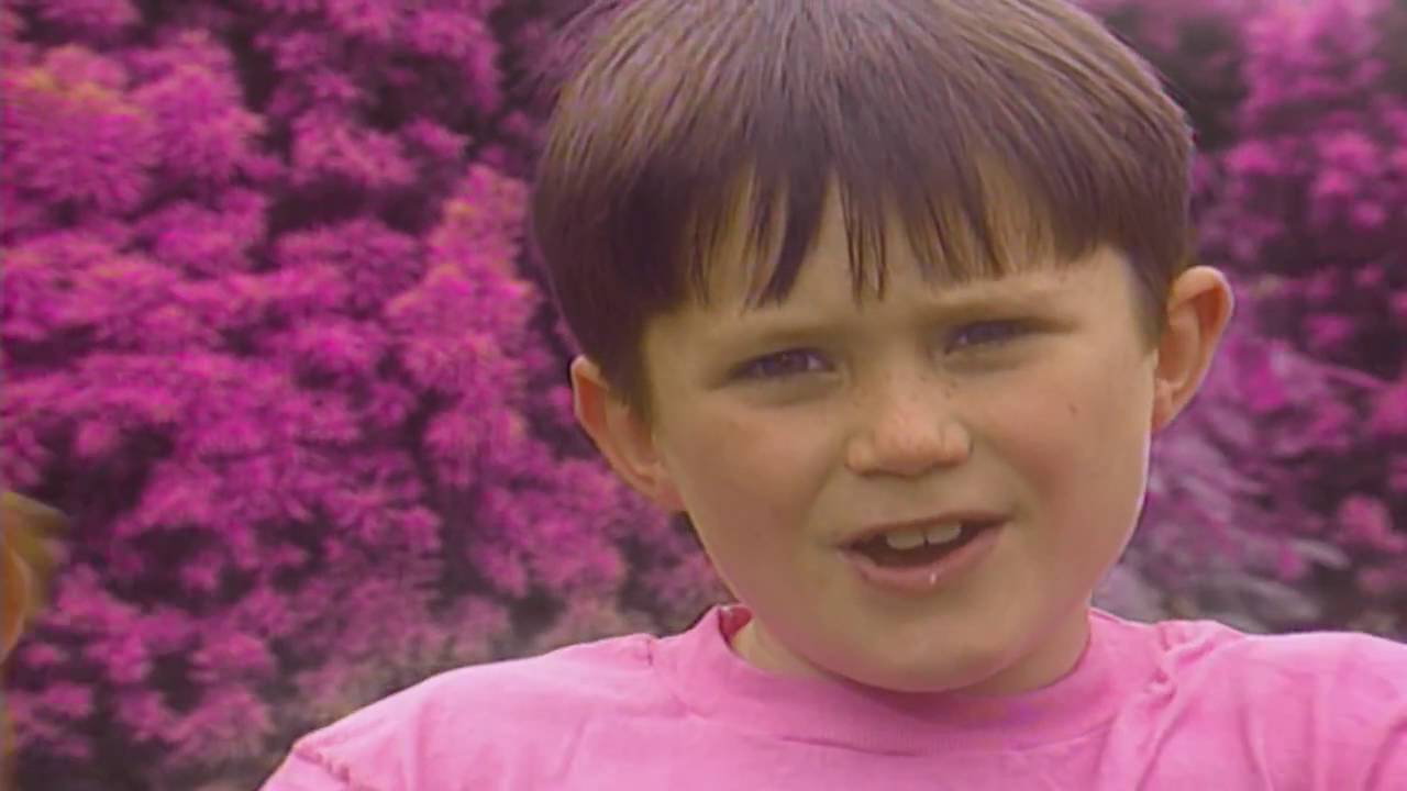 Teletubbies: Colours: Pink - YouTube