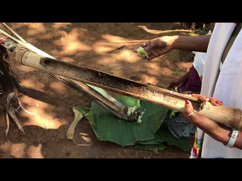 Scraping enset (false banana) in Dorze, Ethiopia