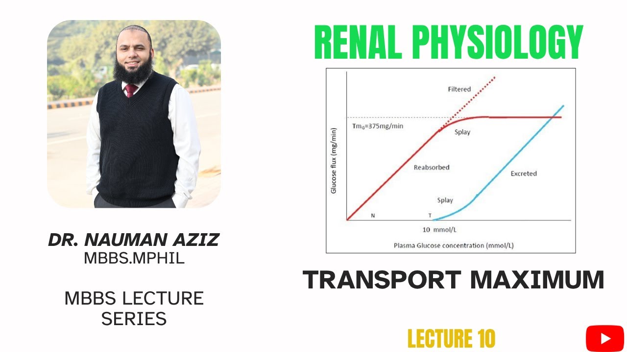 TRANSPORT MAXIMUM OF GLUCOSE | RENAL PHYSIOLOGY | DR NAUMAN AZIZ | 2025 ...