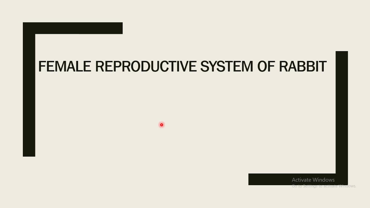 Biology Class 10th Chapter 14 Reproduction (Female reproductive system ...