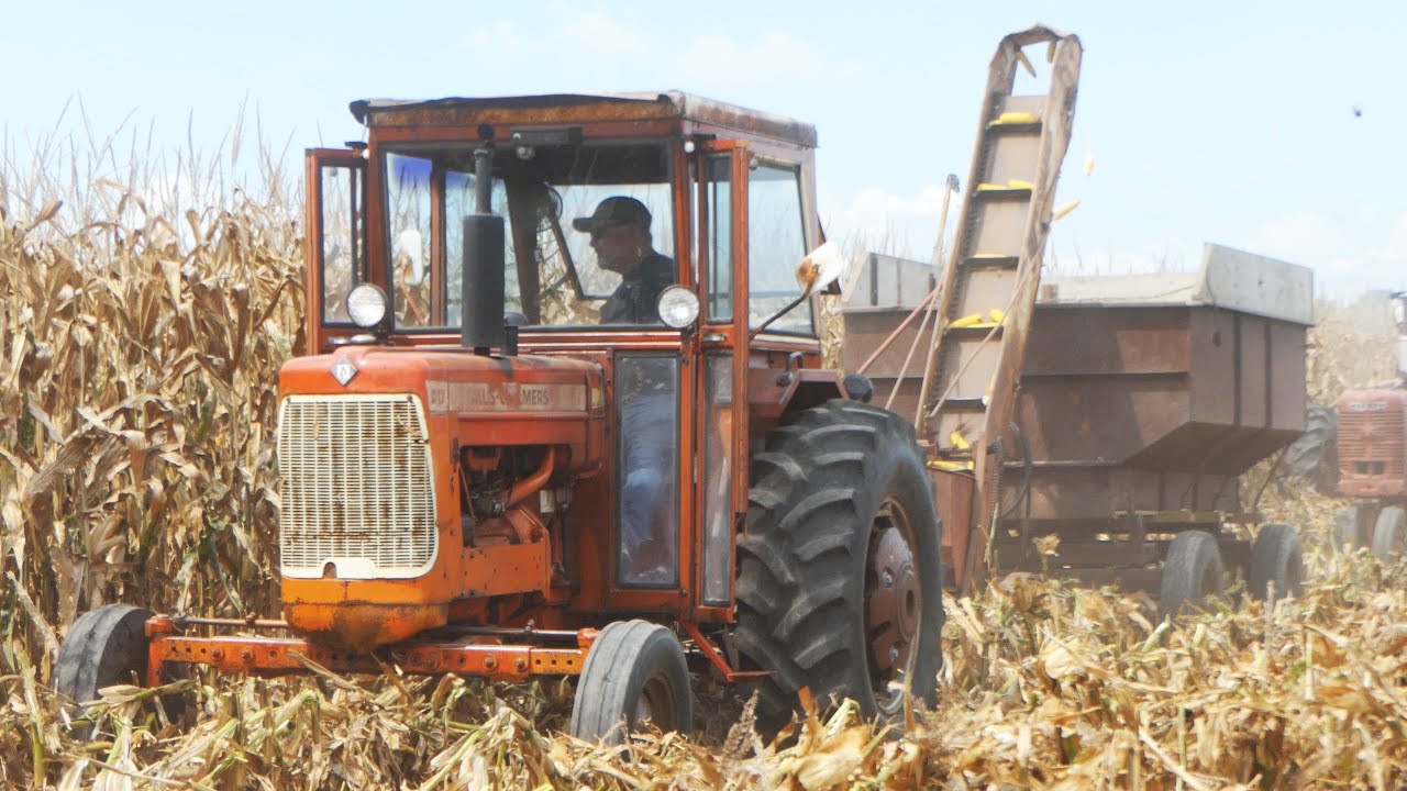 Vintage Corn Picking Tractors in The Field Picking Corn - YouTube