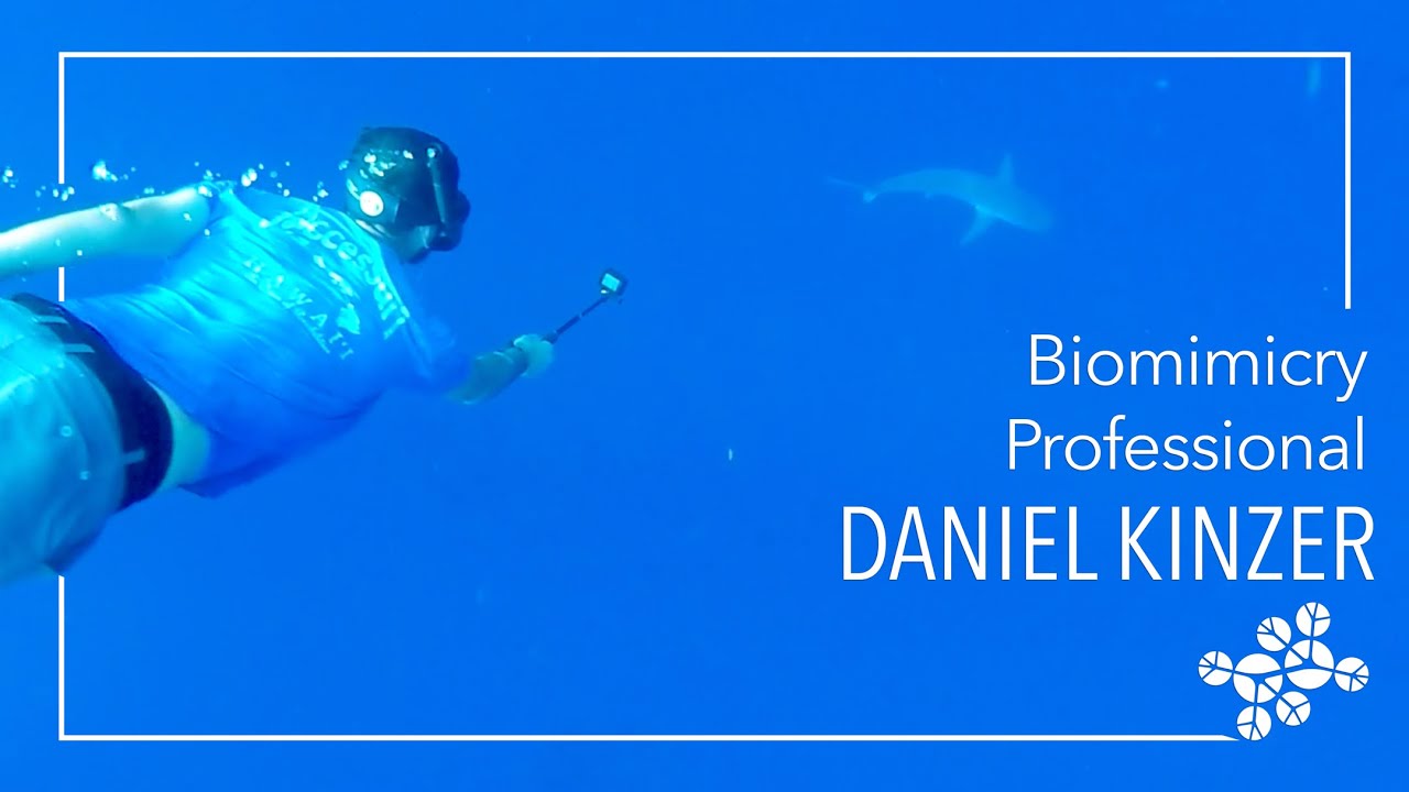 Featured Biomimicry Professional: Daniel Kinzer - YouTube
