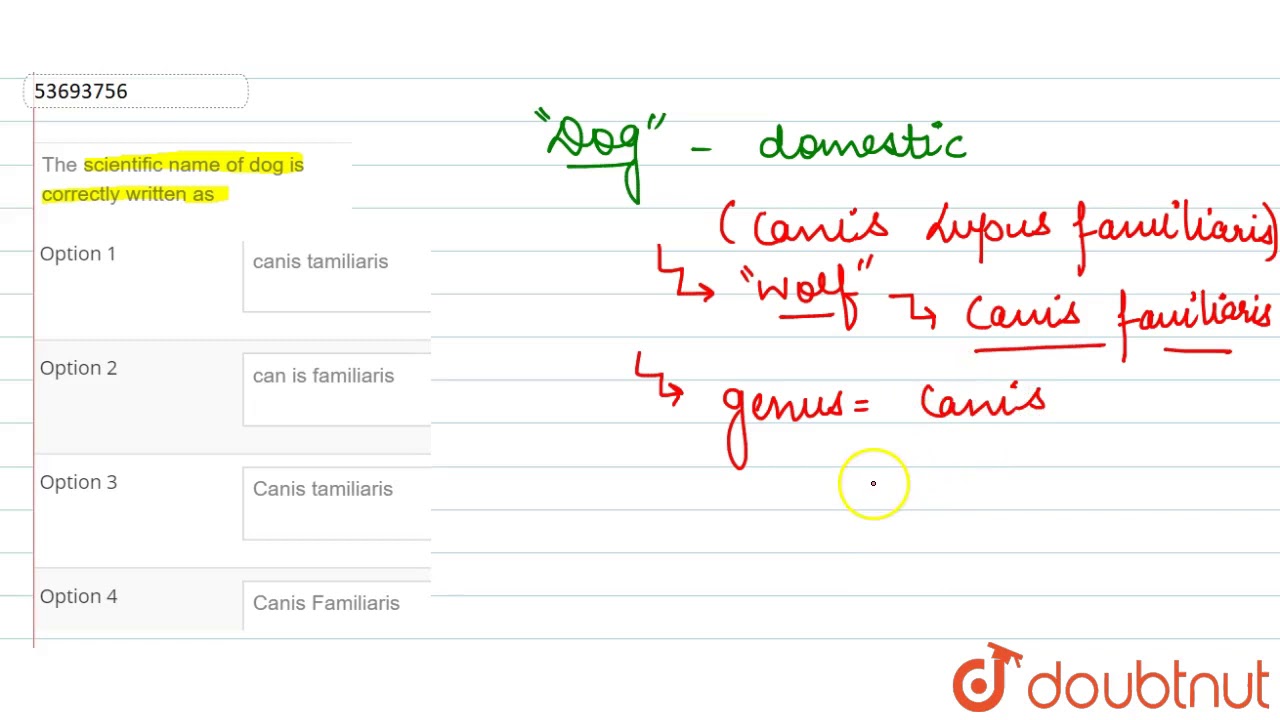 Which Is The Correct Way To Write The Scientific Name For A Dog