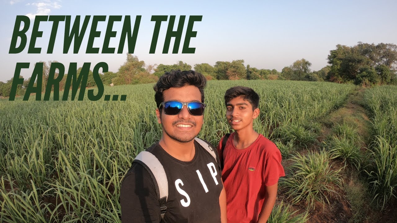 Between the Farms | Nesari- Kolhapur | 2019. - YouTube