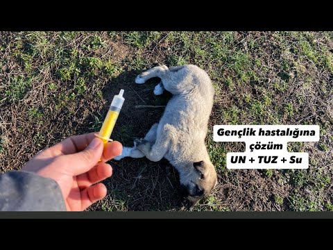 Gençlik Hastalığına  evde hızlı çözüm ( kanlı ishale çözüm )