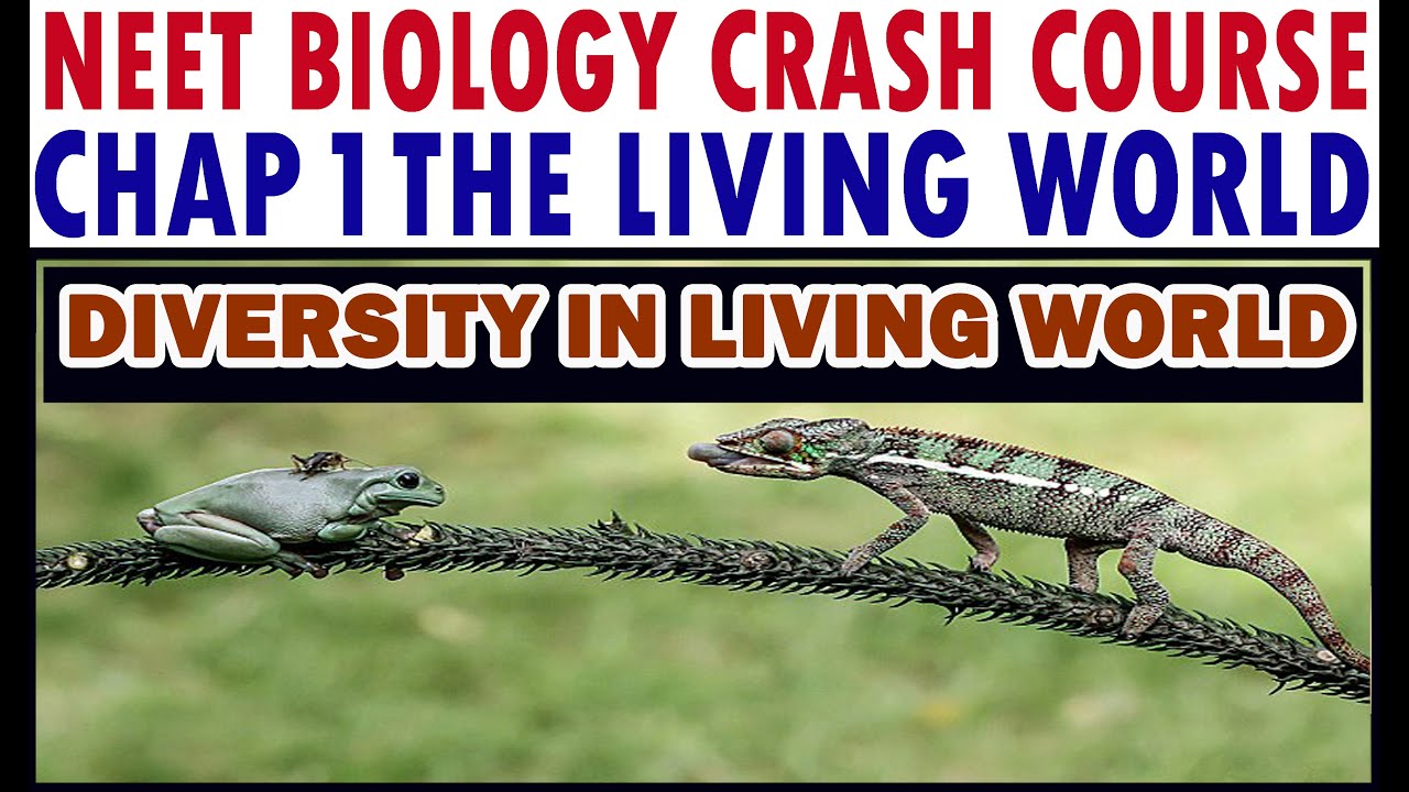 Diversity In Living World Chapter 1 The Living World Neet Preparation By Prof Nilesh Anandwani