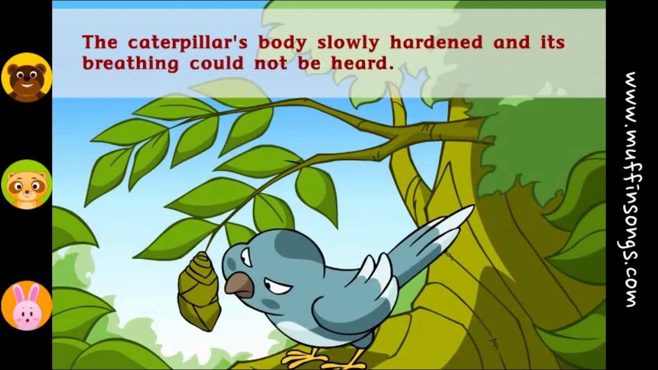 Muffin Stories Caterpillar's Dream Children's Tales, Stories and Fables ...