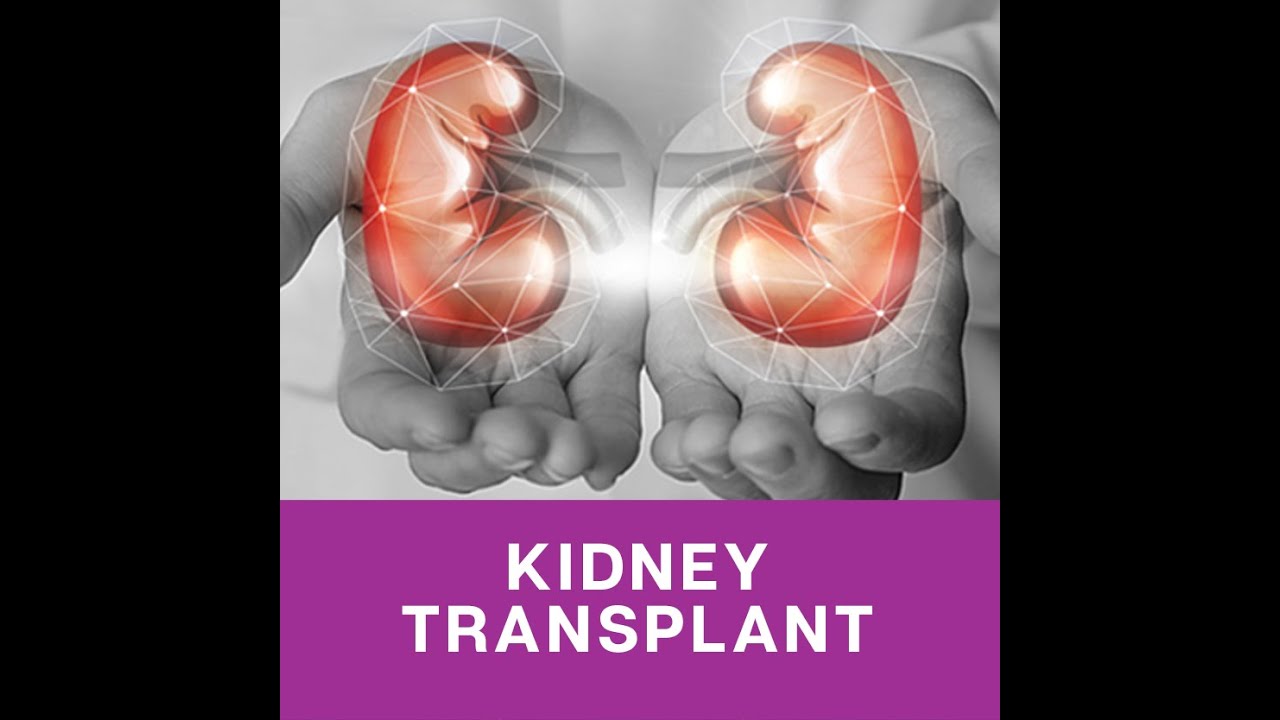 Kidney Transplant Homeodialysis Class 10th Chapter 11 YouTube kidney-transplant-homeodialysis-class-10th-chapter-11-youtube