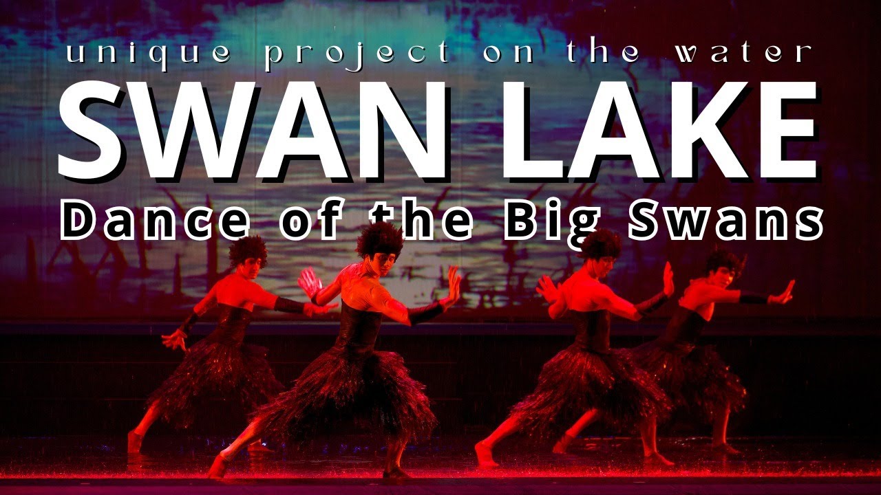 THE DANCE OF THE BIG SWANS ON THE WATER, WHICH YOU DEFINITELY HAVEN’T ...