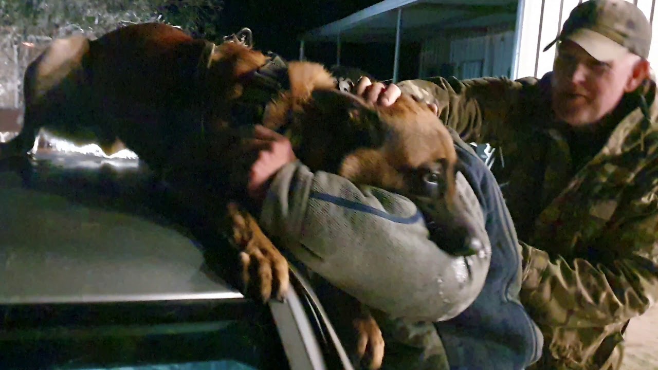 Fight drive - YouTube