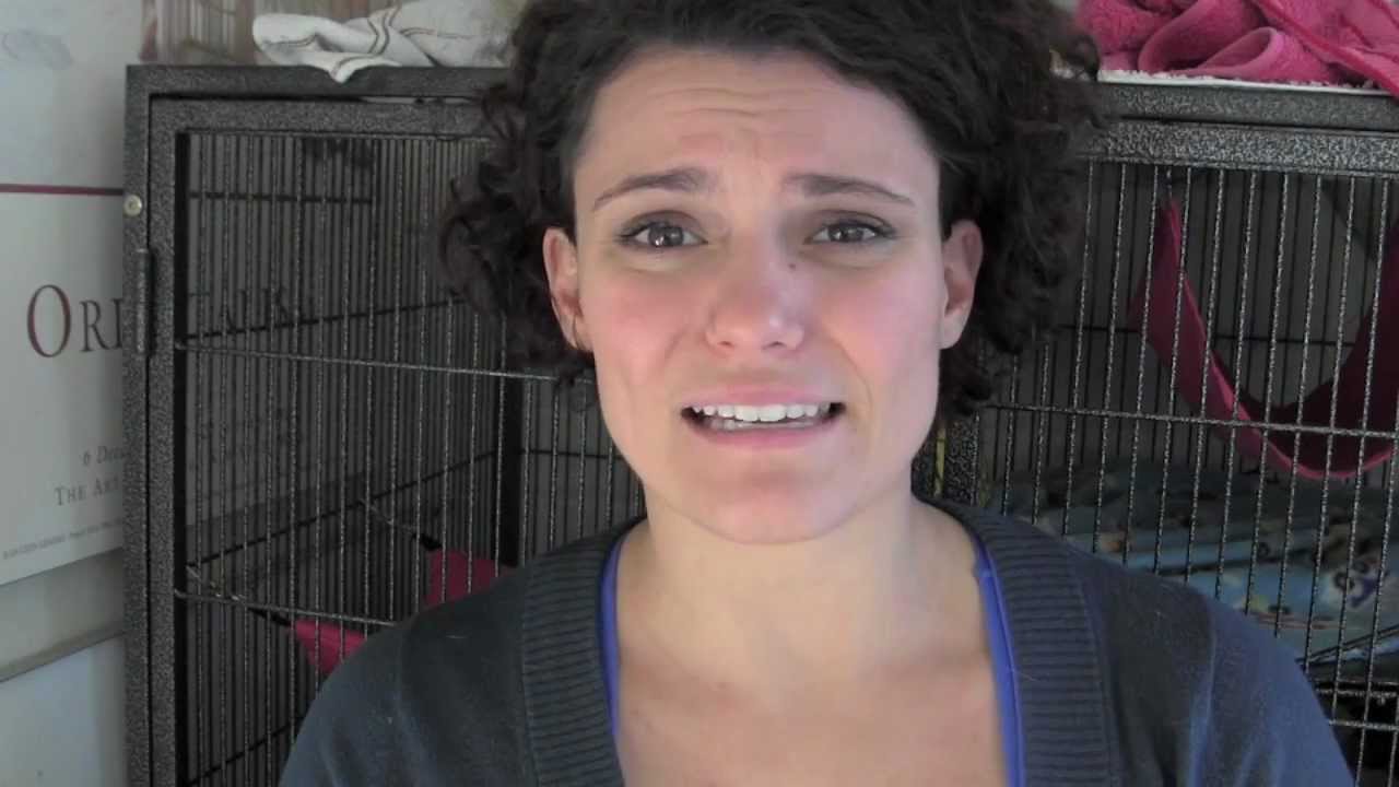 Ferret vomits - Day 19 - YouTube