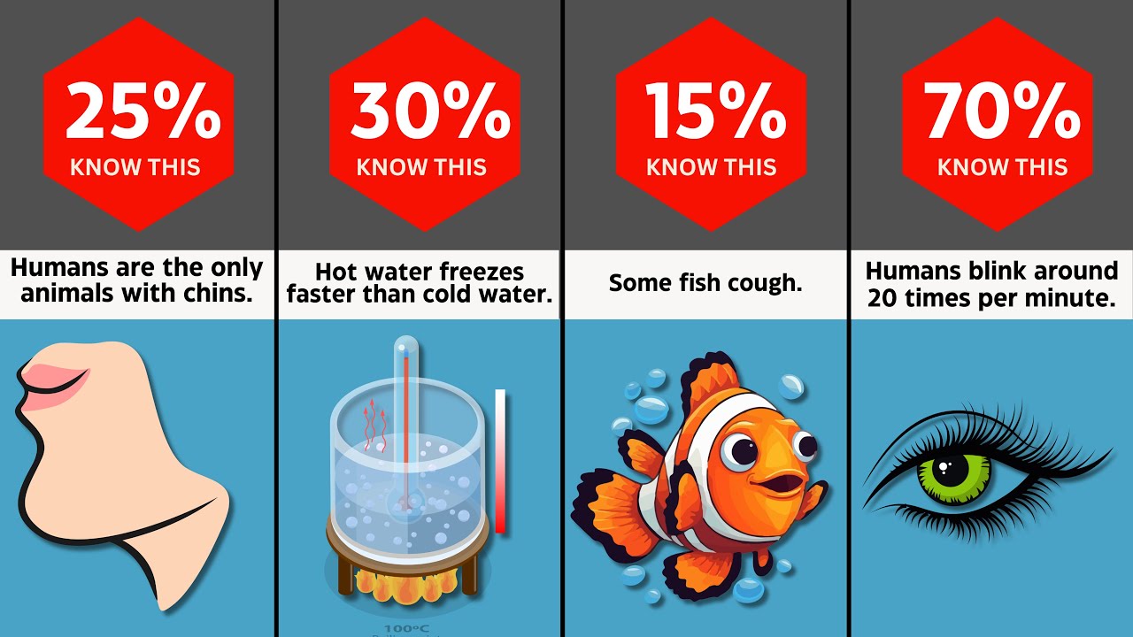 Comparison: How Many of These Interesting Facts Do You Know? - YouTube