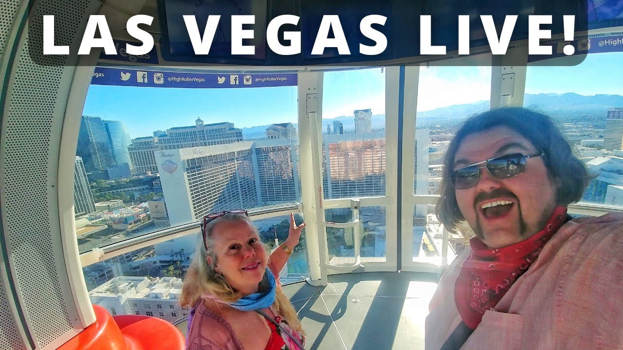 🎂LAS Vegas LIVE 🎲 Walkabout Dingo Livestream - YouTube