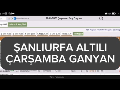 28 Ocak 2026 Çarşamba Şanlıurfa altılı ganyan tahminleri Şanlıurfa at yarışı tahminleri | O.K.