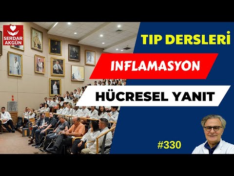 330. Patoloji, Inflamasyon, Hücresel Yanıt, Serdar Akgün