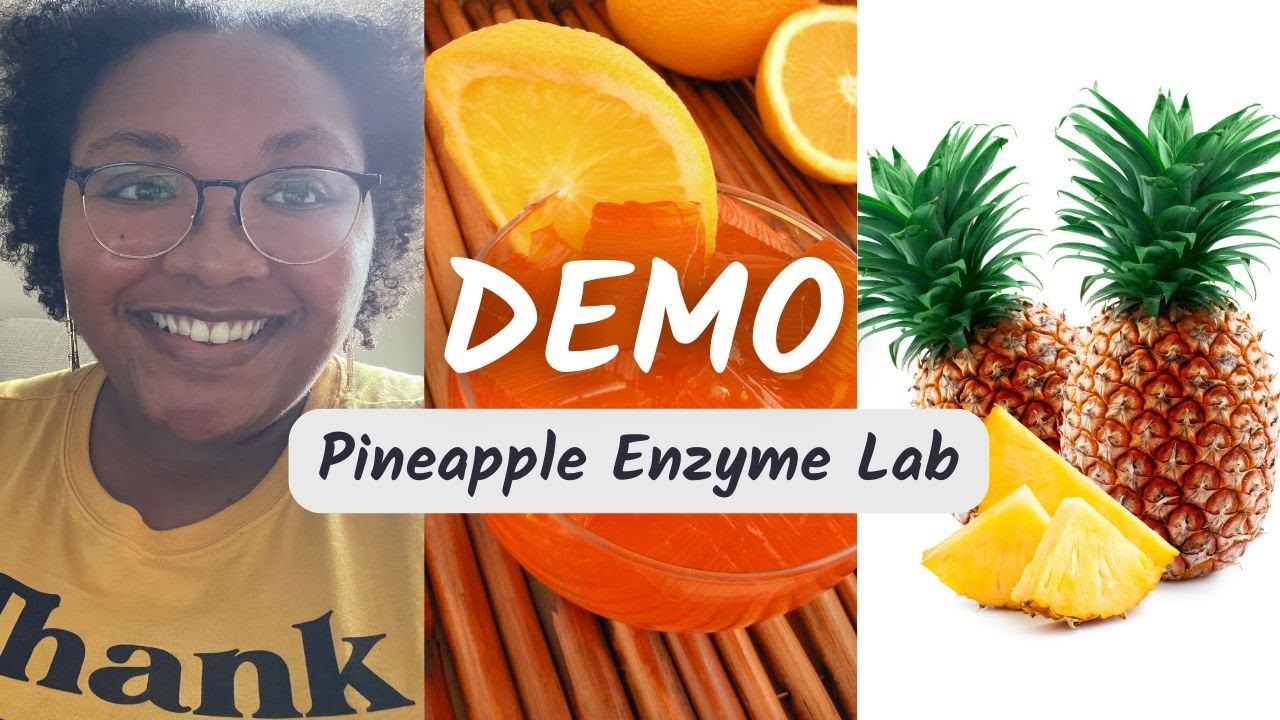 Pineapple Enzyme Lab - YouTube