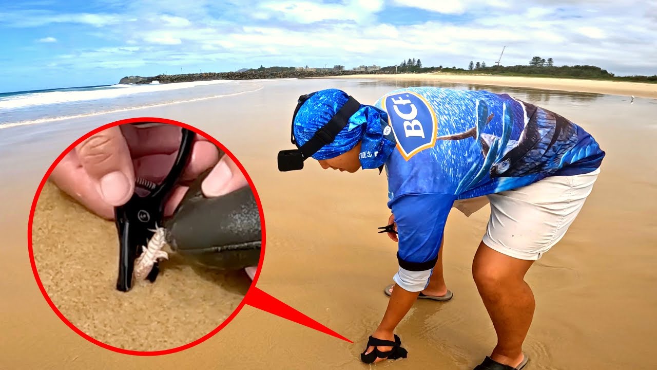 He caught his FIRST Beach Worm on Camera! - YouTube
