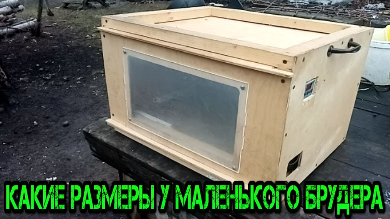 КАКИЕ РАЗМЕРЫ У БРУДЕРА - YouTube