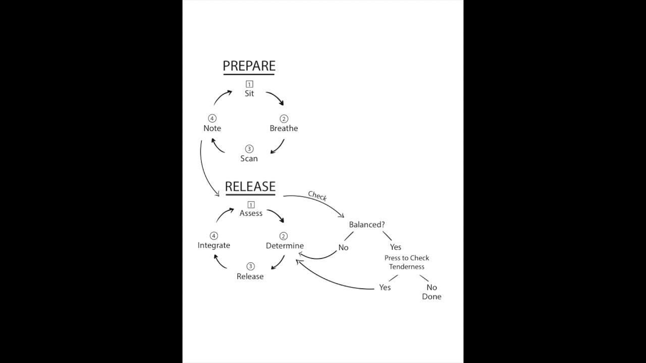 Muscle Release Overview - YouTube