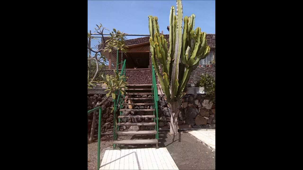 Aloe park Tenerife - YouTube