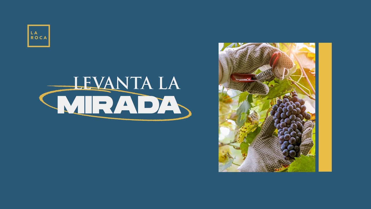 Levanta la mirada | José Mayorquin | 13 Noviembre - La Roca Online ...