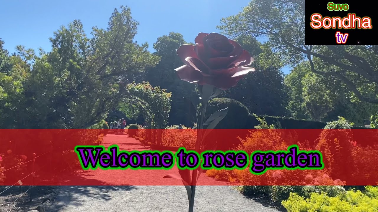 ফুলের বাগান#fular Bagan - YouTube