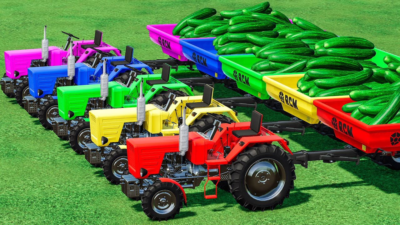 JOB WITH JCB LOADER & TRANSPORT CUCUMBERS WITH BELARUS TRACTORS ...