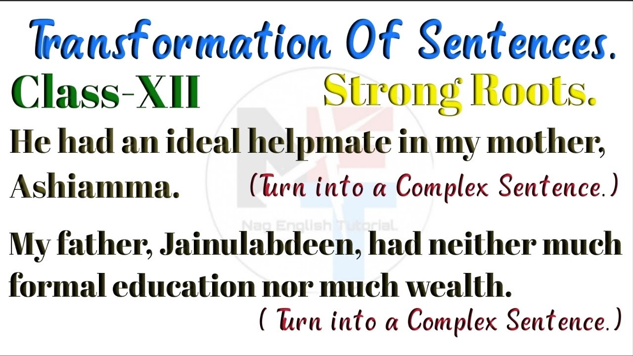 Transformation Of Sentences Class 12 Textual Grammar Do As transformation-of-sentences-class-12-textual-grammar-do-as