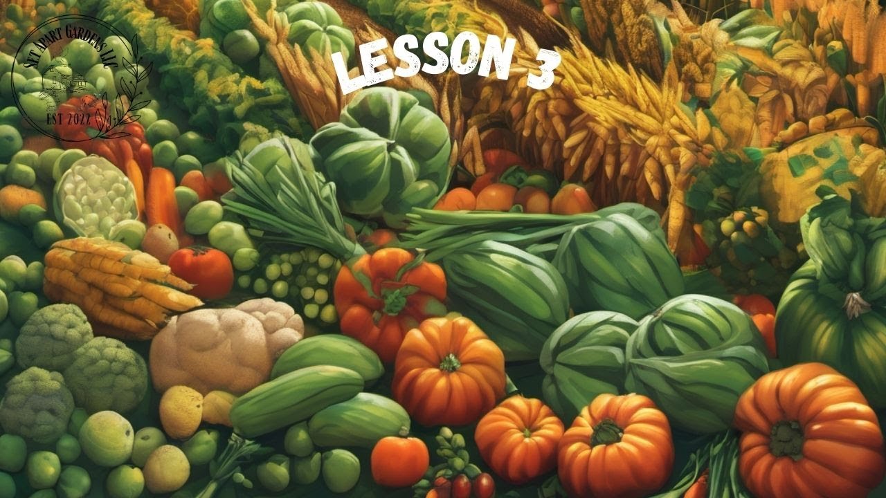 Lessons learned from being a Homesteader: Lesson 3-The Harvest is a ...