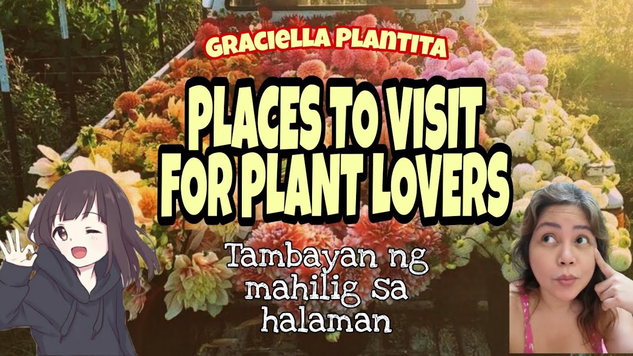 PLACES TO VISIT FOR PLANT LOVERS| TAMBAYAN NG MAHILIG SA HALAMAN SAAN ...