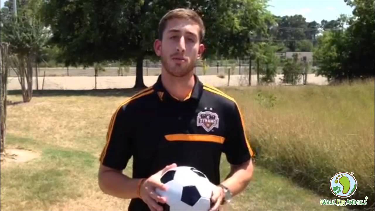 Anthony Arena Wants You To iWalk For Animals | Houston SPCA - YouTube