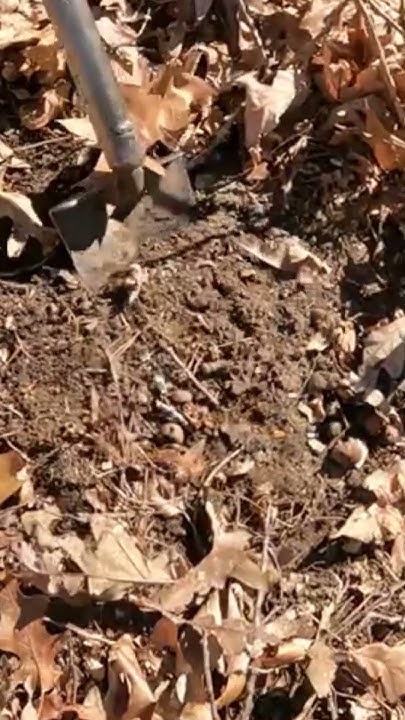 Short #138 - Turn on the water with this find. Metal Detecting with the Nokta Makro simplex ...