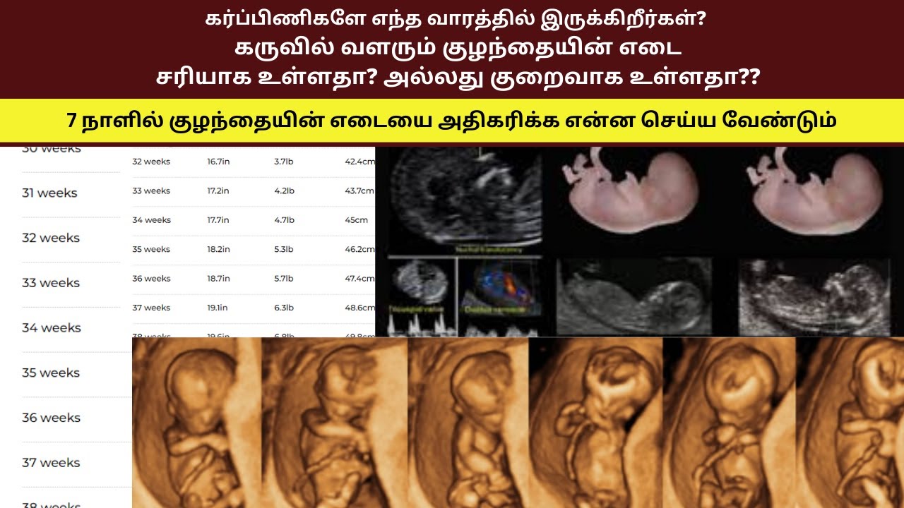 Average fetal length and weight chart in kg|fetal weight chart kg|baby ...