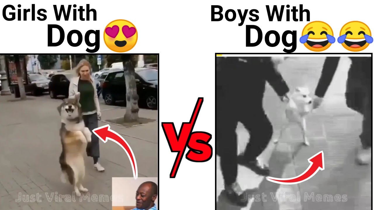 Girls With Dog Vs Boys With Dog🤣😂💯😄 #memes #viral #funny #girlsvsboys ...