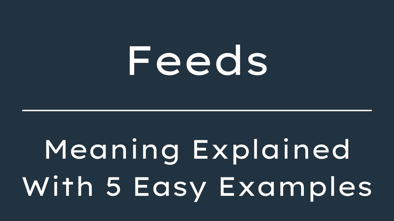 What Does Feeds Mean? Feeds Meaning in English With 5 Example Sentences ...