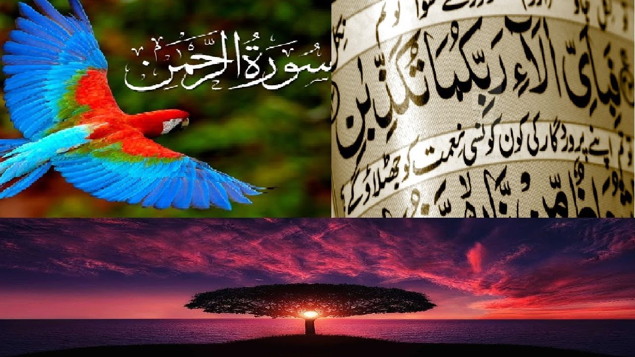 055 Surah Rahman Complete [Surah Ar-Rahman Recitation full ] Surah ...