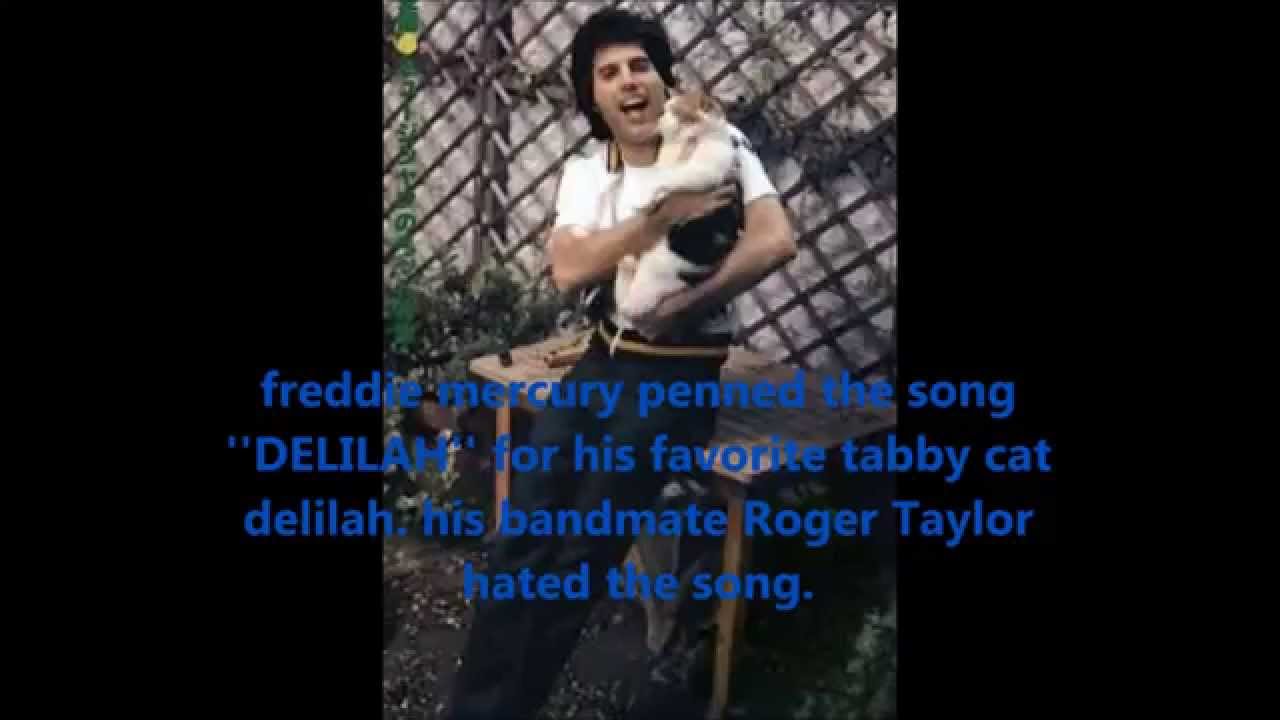 10 REAL Facts About FREDDIE MERCURY You Didn t Know YouTube 10-real-facts-about-freddie-mercury-you-didn-t-know-youtube