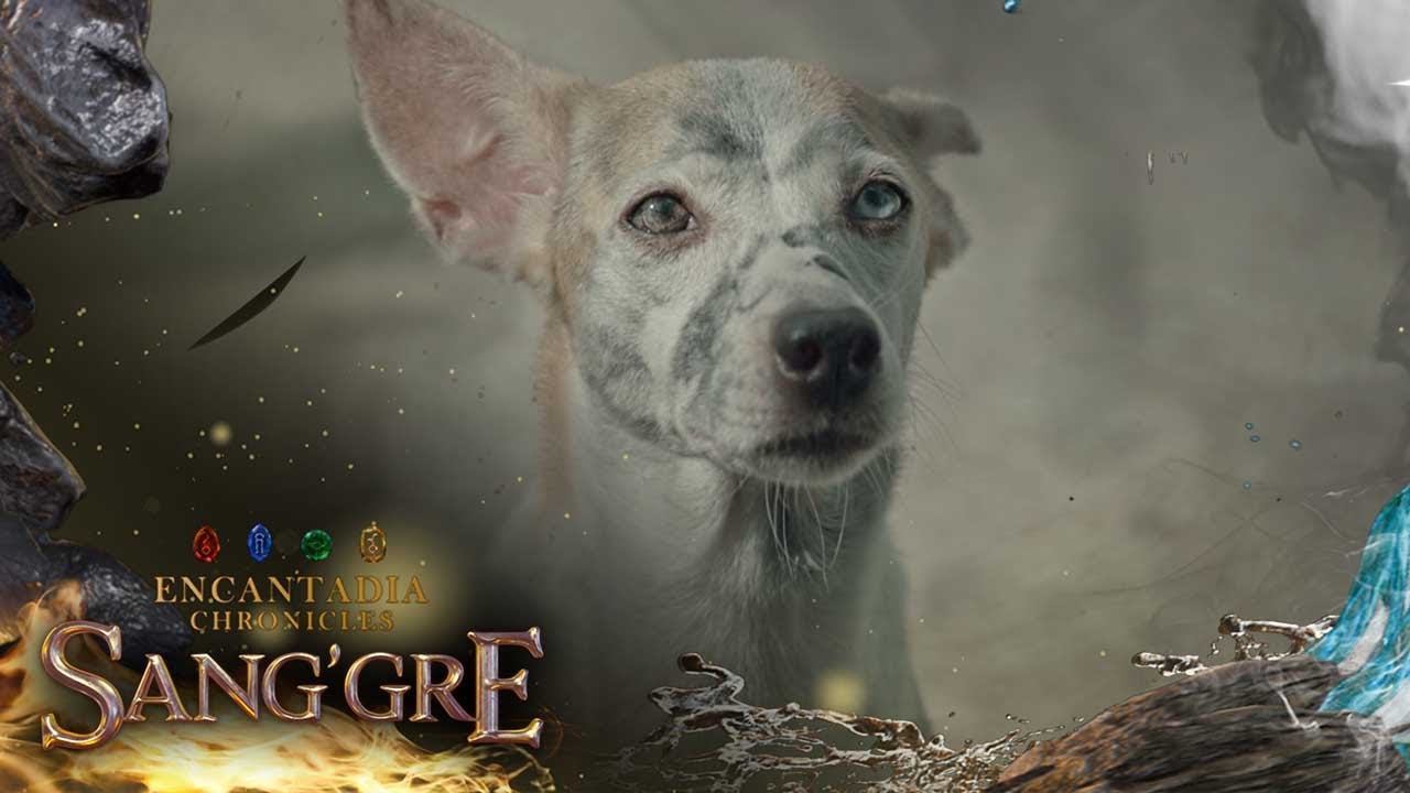 Sang'gre: Ang pagbabagong anyo ni Danaya bilang aspin! (Episode 6 ...