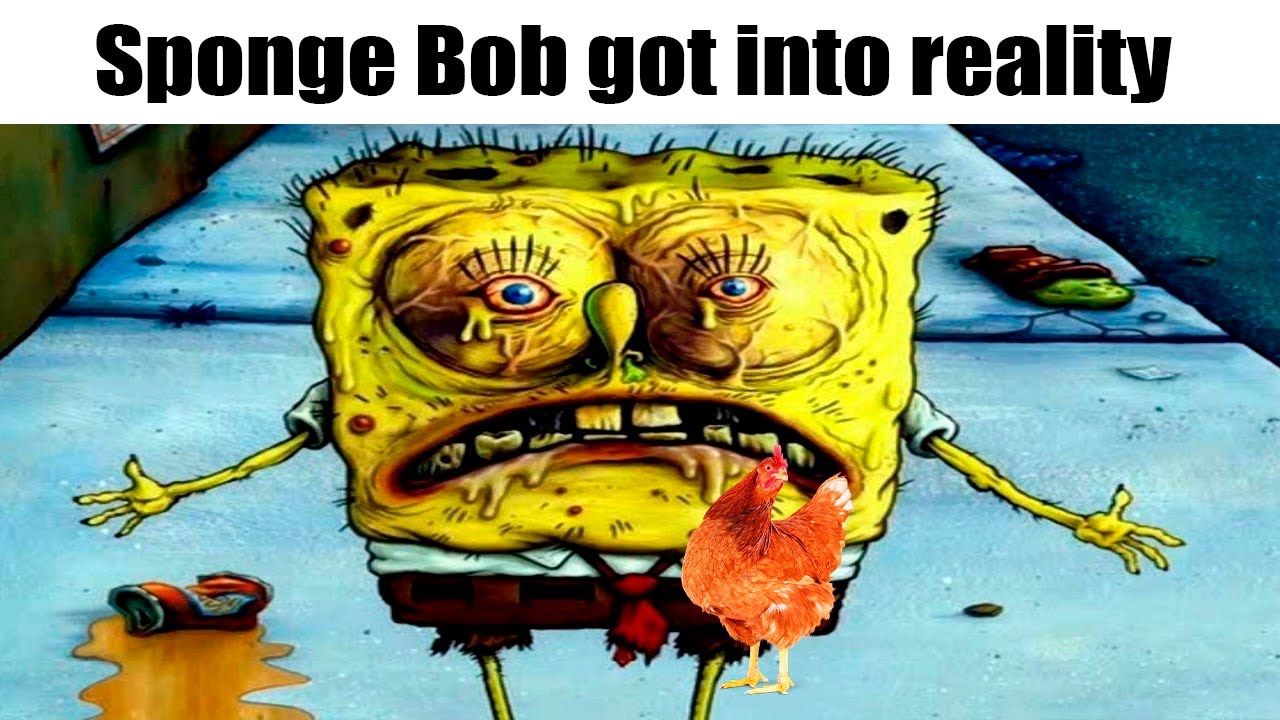 Sponge Bob Memes - YouTube
