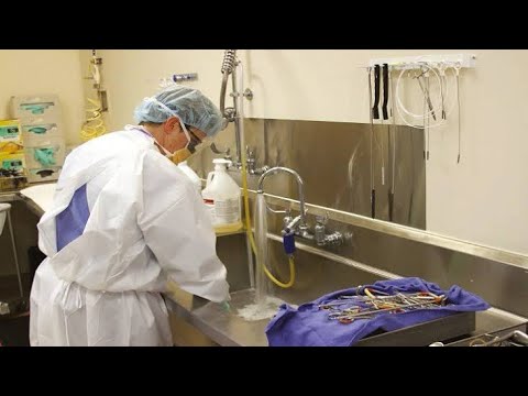 CSSD-Decontamination Steps (part-2) #cssd #sterileprocessing #malayalam ...