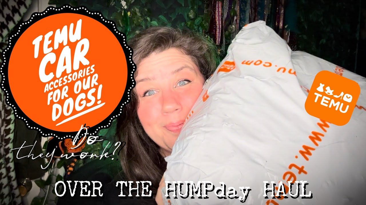 Over The Hump Day Haul TEMU Car & Dog Accessories Edition! Customized ...
