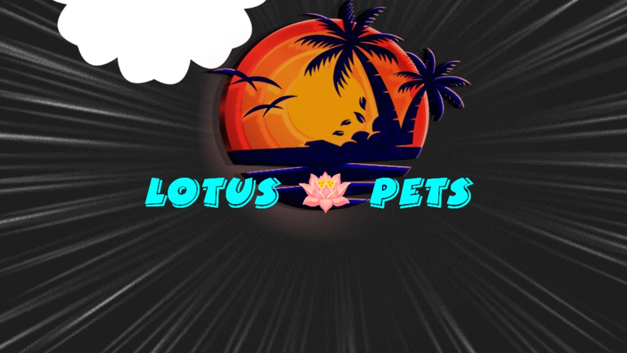 Lotus pets and cute puppies video funny dogs and animale videos - YouTube