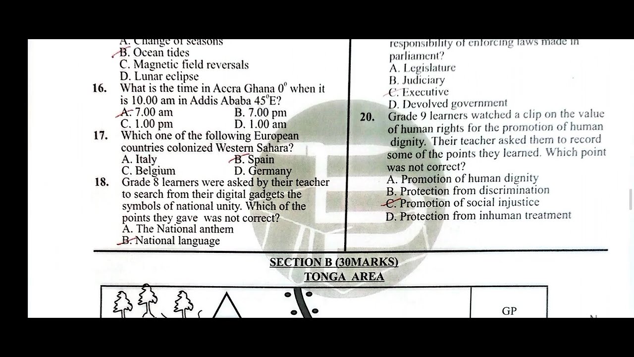 Targeter wings 008 SST grade 8 - YouTube