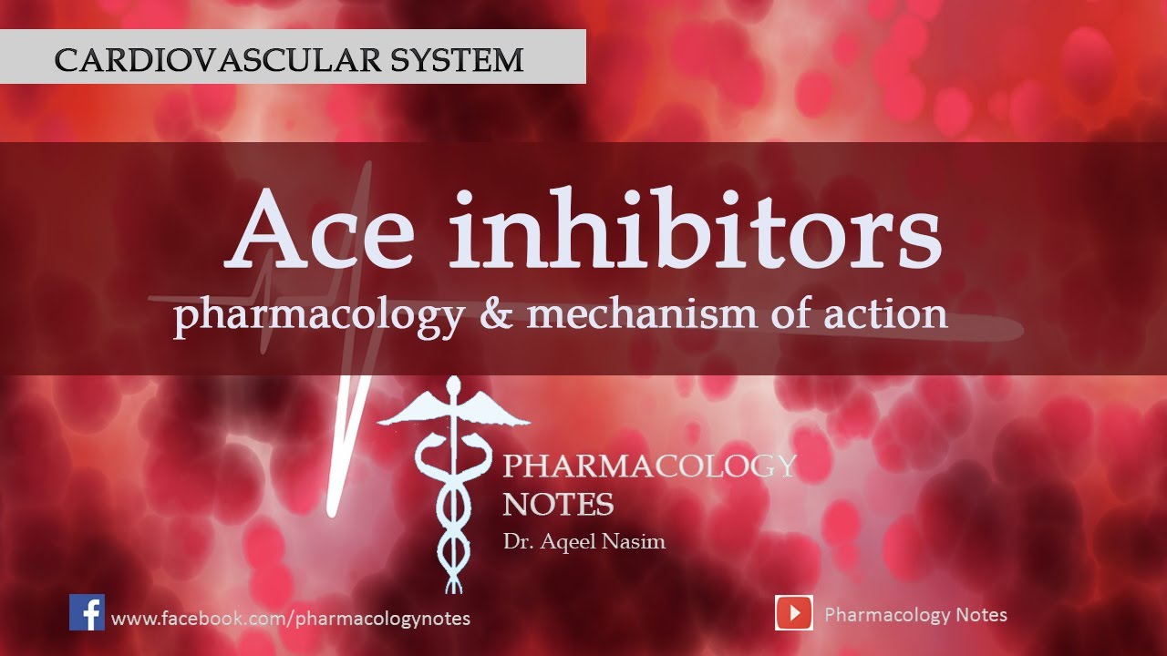 Ace inhibitors pharmacology - How do ace inhibitors work | Angiotensin ...