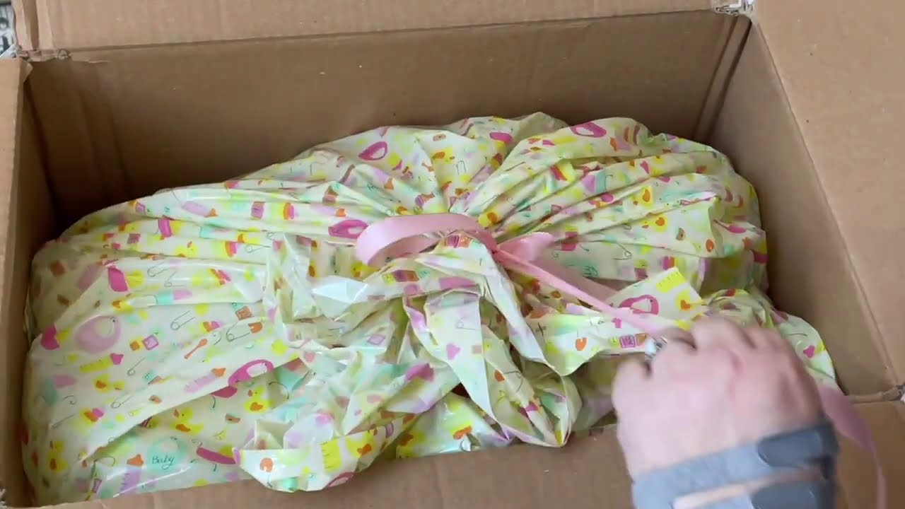 EXTRA, EXTRA SPECIAL LE REBORN BABY! Reborn Box Opening / Reborn ...