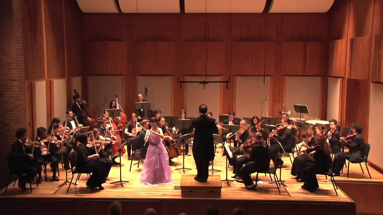 Wolfgang Amadeus Mozart: Concerto for Oboe, K. 314 - I. Allegro aperto ...