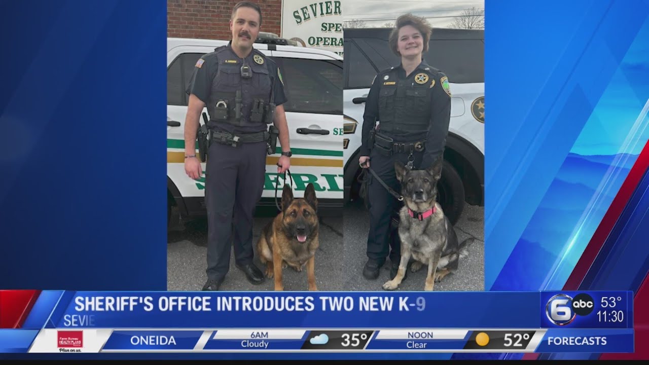 Sevier County Sheriff's Office introduces two new K-9 officers - YouTube
