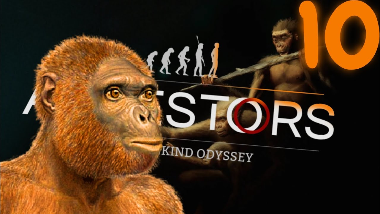 L'Ardipithecus ramidus ! | Ancestors : The Humankind Odyssey #10 - YouTube