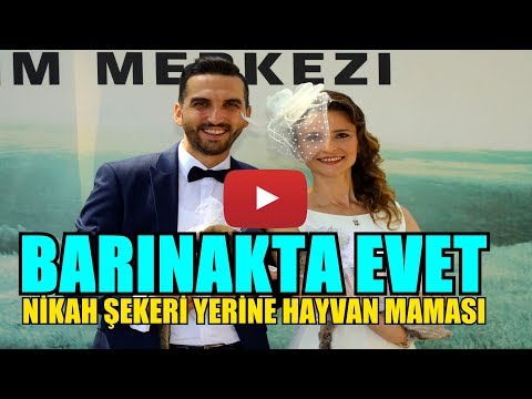 HAYVAN BARINAĞINDA EVET DEDİLER